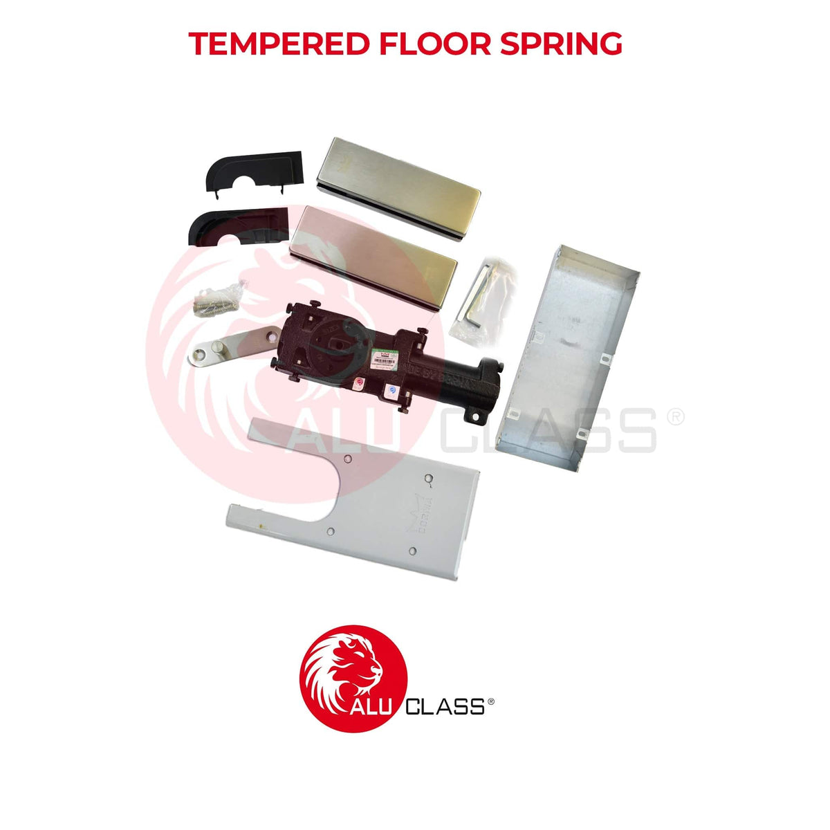 Tempered Floor Spring ALUCLASS (AA-DM-DORMA GD PACKAGE BTS60) — ALUCLASS MY
